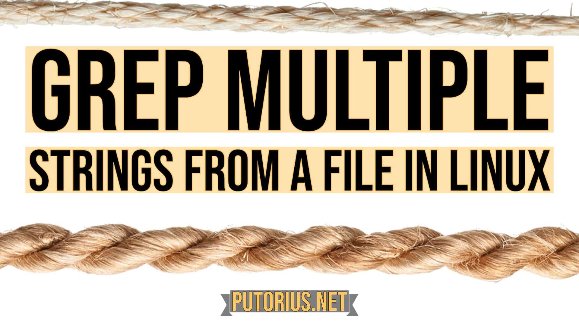 Grep Multiple Strings Or Patterns From A Text File In Linux Putorius