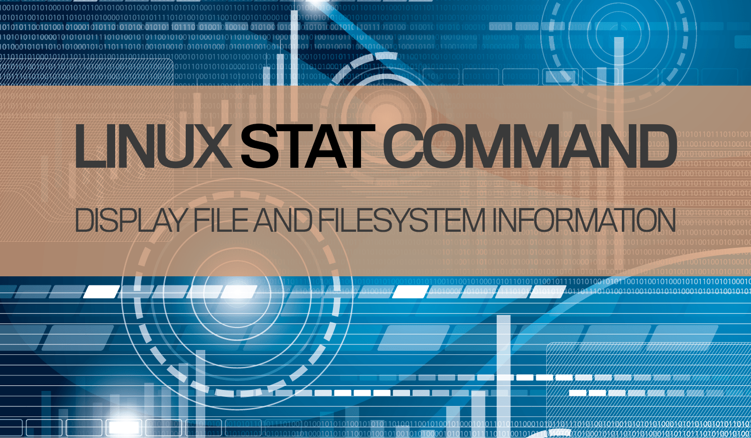 Stat Command Display File Information On The Command Line Putorius 9380