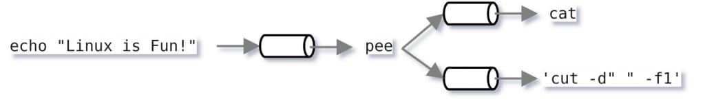 Linux pee Command - Tee Standard Input Into Pipes - Putorius