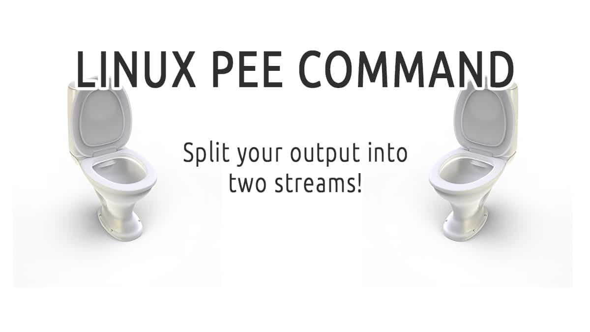 Linux Pee Command Tee Standard Input Into Pipes Putorius