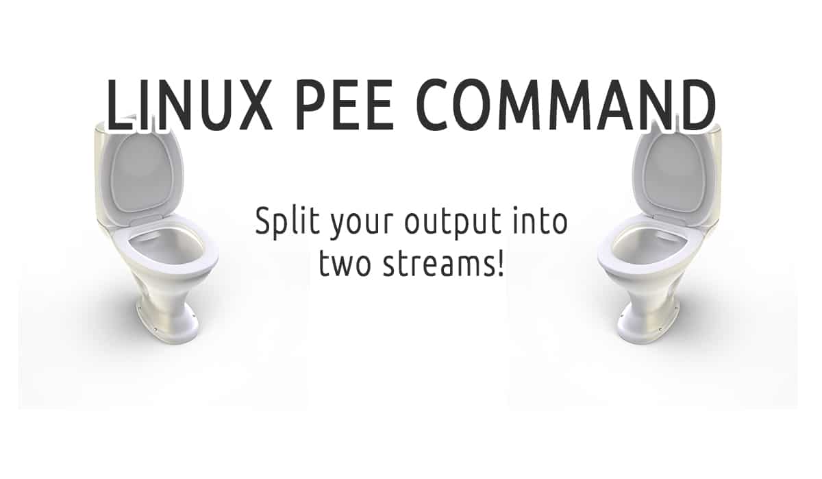 Linux Pee Command Tee Standard Input Into Pipes Putorius